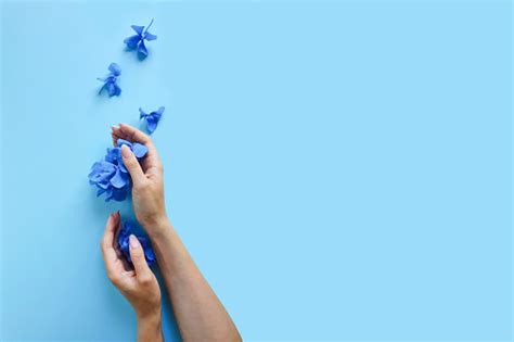 파란색 배경에 수국 꽃 여성 손의 상단 보기 패션 예술과 아름다움 플랫 레이 컬러 그림자 컨셉 핸드 케어 개화기에 대한 스톡 사진 및 기타 이미지 Istock