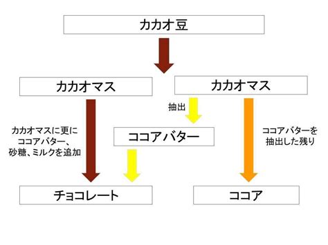 【原料は一緒】意外に知らない チョコレートとココアの違いとは 東京ガス ウチコト