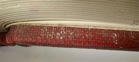 White Mold On Old Hardcover Book Or Something Else R Moldlyinteresting