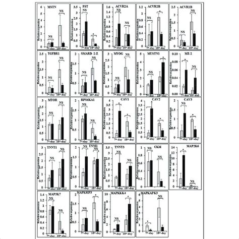 Relative Expression Of Degs That Are Involved In Fatty Acid Metabolism