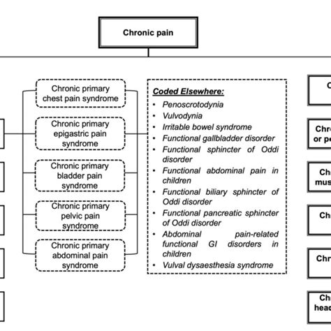 Figure Classification Of Chronic Pain Chronic Primary Pain And Chronic