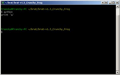 Windows Cygwin Doesnt Display Python Output Super User