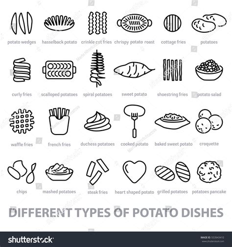 Different Types Potato Dishes Stock Vector Royalty Free 553943410 Shutterstock