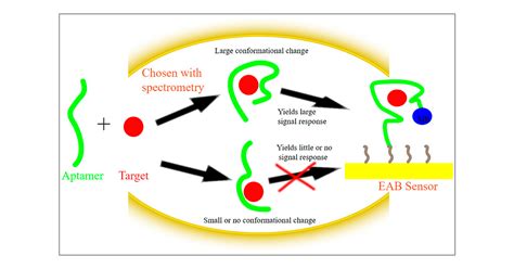 Using Spectroscopy To Guide The Adaptation Of Aptamers Into