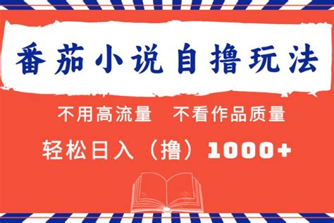 番茄小说最新自撸 不看流量 不看质量 轻松日入1000 资源之家