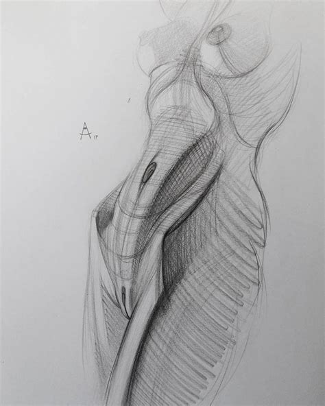 Pencil Sketch Female Body At Sarah Dobell Blog