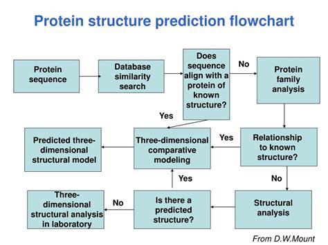 Ppt Protein Structure Prediction Powerpoint Presentation Free Download Id299815