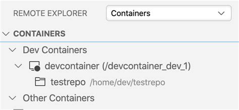 Containers In The List Of Dev Containers Only 1 Folderworkspace
