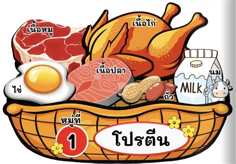 ปักพินโดย Saowalak ใน อาหาร5หมู่ งานประดิษฐ์ของเด็ก อาหารและโภชนาการ งานวิทยาศาสตร์