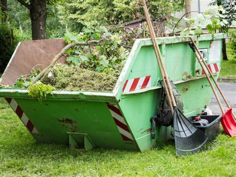How Useful Are Skip Bins Really