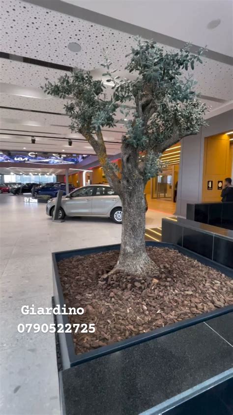 ‎جاردينو لتجديد وتصميم الحدائقlandscape‎ Giardino 0790522725 Instagram