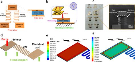 A Model Of The Proposed Force Sensor Consisting Of A Central Sensing Download Scientific