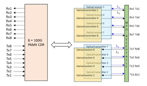 Difference Between 800g Optical Modules Qsfp Dd And Osfp Walsun