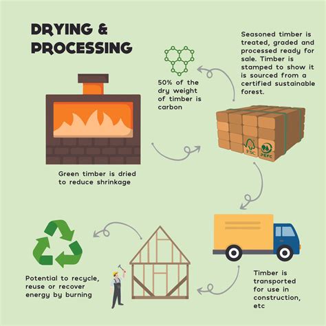 Timber Production Process