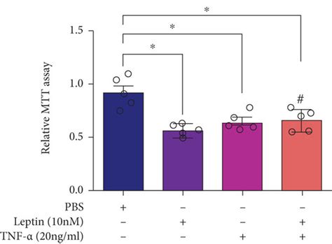 TNF α antagonized the effects of leptin on the proliferation of INS 1E