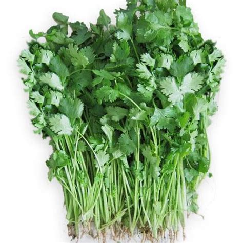 壽光洪水香菜怎麼了 每日頭條