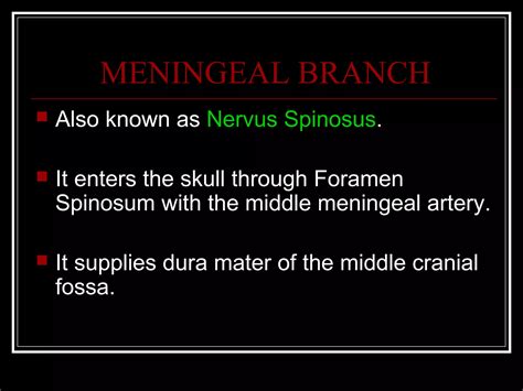 Trigeminal Nerve Mandibular Division Introduction PPT