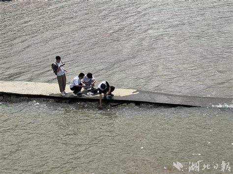 求知长江口 地大实践团助力长江大保护 荆楚网 湖北日报网
