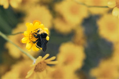 Lr4 Flickr Lr4 Flickr