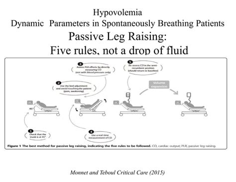 Basics Of Tte Trans Tracheal Echoand Teepptx