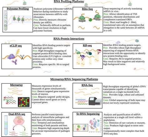 Frontiers Decrypting The Complexity Of The Human Malaria Parasite