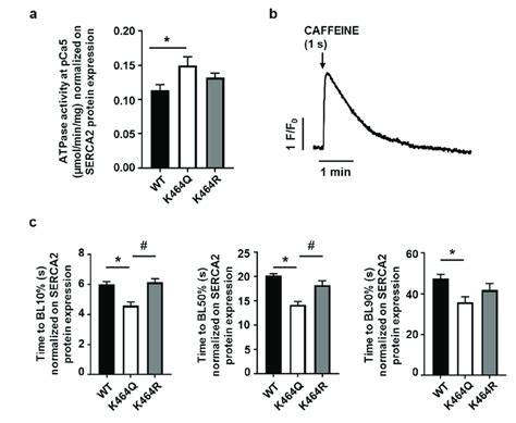 Atpase Activity On Microsomes And Calcium Transients Evaluated In Hek