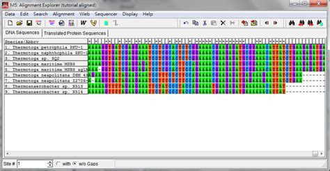 Peggys Intern Diary Tutorial A Phylogenetic Tree With Mega 5