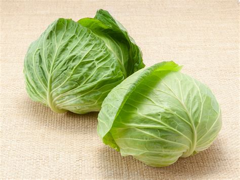 キャベツがおいしい都道府県ランキング！ 2位「北海道」、1位は？【2023年調査】 All About ニュース