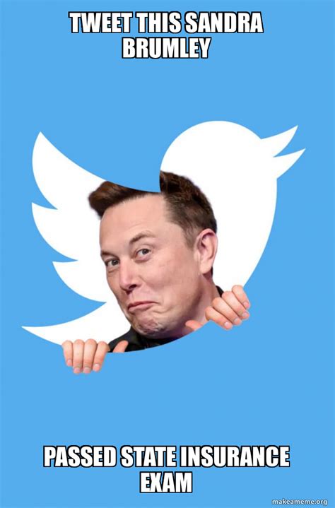 Tweet This Sandra Brumley Passed State Insurance Exam Elon Musk Twitter Meme Generator