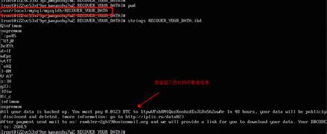 Linux 中修改mysql8028默认的3306端口防止被端口扫描入侵修改mysql3306端口 Csdn博客