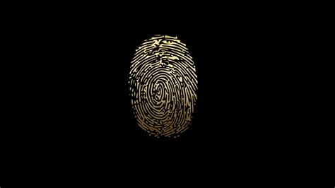 Fingerprint Data Biometrics Wallpapers Hd Desktop And Mobile Backgrounds