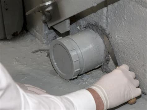 Mouse And Rat Gap Sealant Lothian Diy And Building Supplies