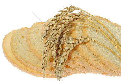 小麦和面包生活种子收获谷物食物玉米农场蔬菜生长烘烤高清图片下载 正版图片 摄图网