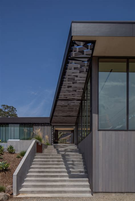 Tree Lichen Influences California House By Schwartz And Architecture