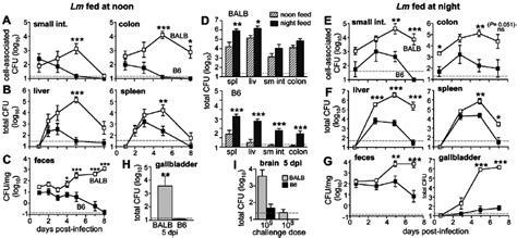 balb mice are more susceptible than b6 mice to l monocytogenes