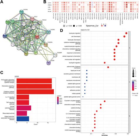 Frontiers A Systematic Pan Cancer Analysis Reveals The Clinical
