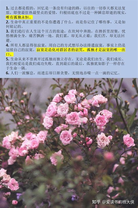 《百年孤独》金句 知乎