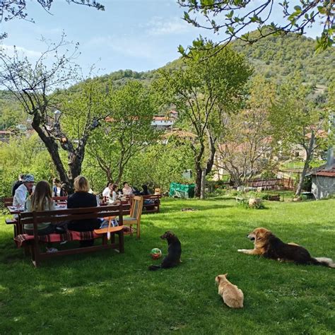 Кај тетка Весна Етно Лесново Kajak Mk