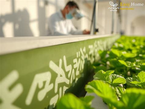 Solving Nutrient Solution Foaming Problems Easy Home Hydroponics