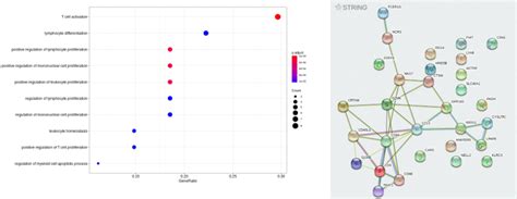 Report · Wiki · Birdpipelineregistry Srp Pipeline · Gitlab
