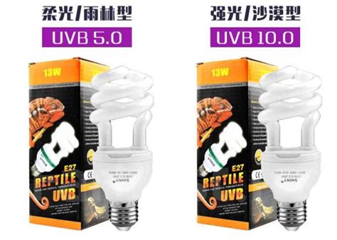 Лампа для рептилий Uvb5 0 10 0 13w Аквариумистика и террариумистика в Хабаровске