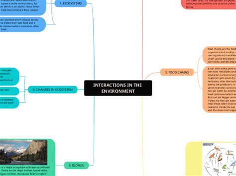Interactions In The Environment Mind Map
