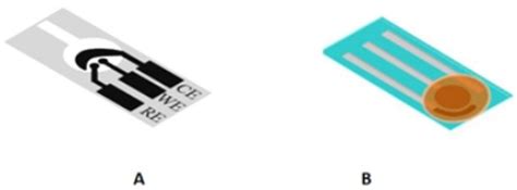 Paper Based Electrochemical Biosensors For Food Safety Analysis