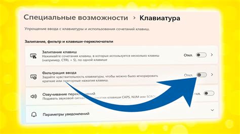 Как отключить фильтрацию ввода в Windows 11 Youtube