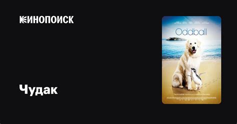 Чудак — трейлеры, даты премьер — Кинопоиск