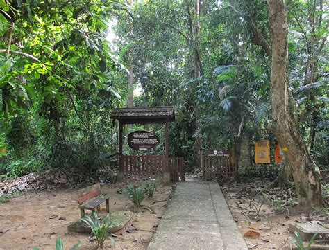Taman Negara National Park Malaysia Activities Accommodation
