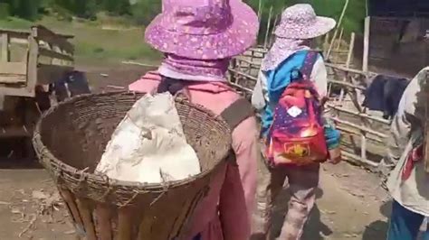 Nkauj Hnub Txoj Kev Khwv YouTube