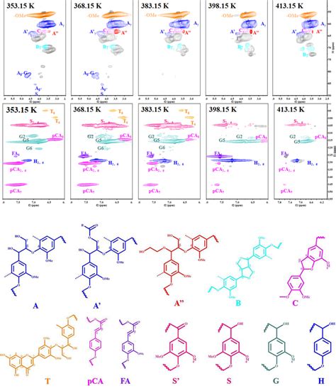 Two Dimensional Nmr Spectra Of Extracted Lignin Samples Obtained From
