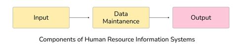 What Is HRIS Human Resource Information System Types And