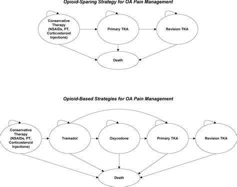 Cost Effectiveness Of Tramadol And Oxycodone In The Treatment Of Knee